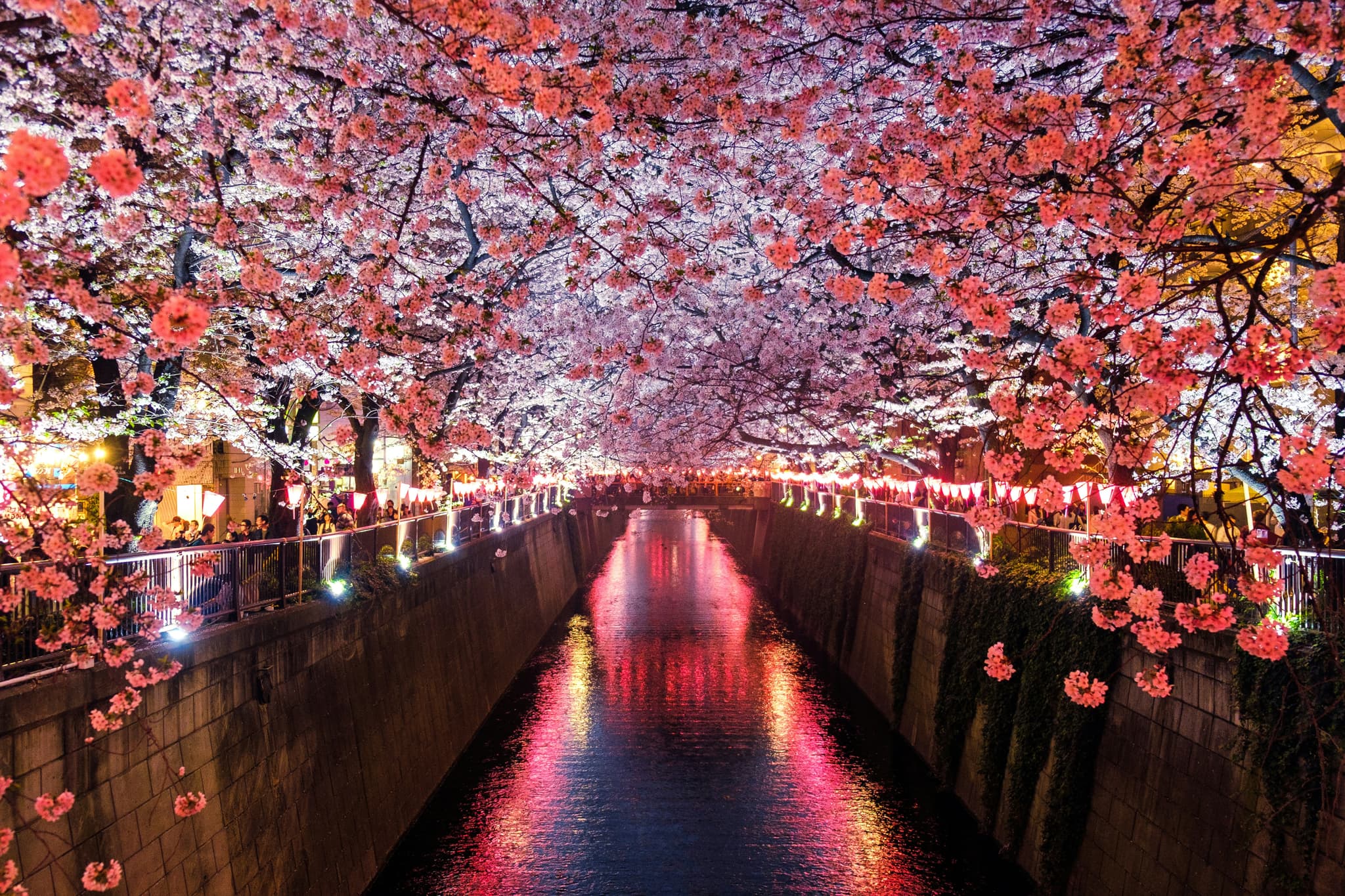 What to Wear in Japan in 2025: A Guide to Attire Rules for Tourists
